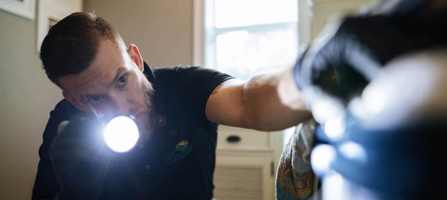 Pest Control West Palm Beach | Florida Environmental Pest Management