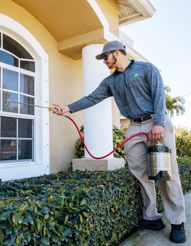 Pest Control Company Serving South Florida | Best Pest Control South Fl