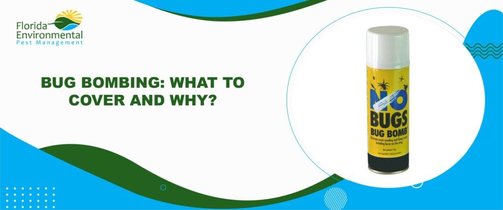 A Guide To Bug Bombing