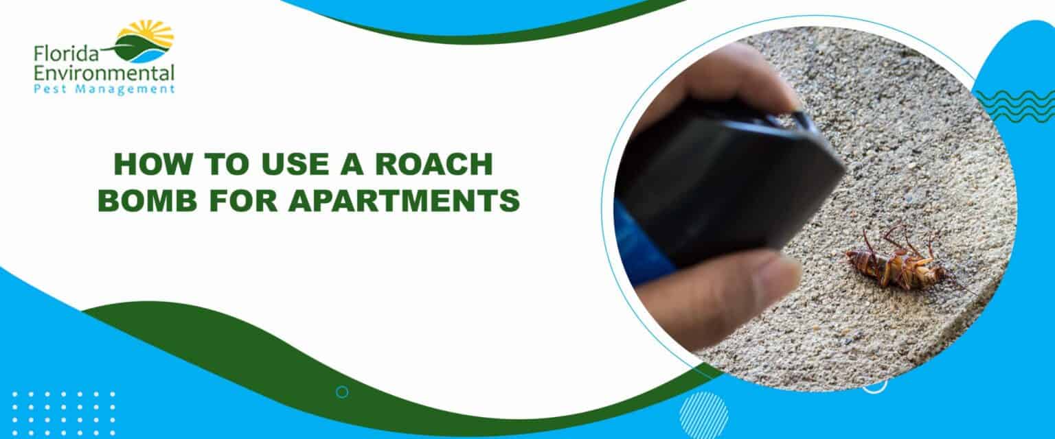 How To Use A Roach Bomb For Apartments