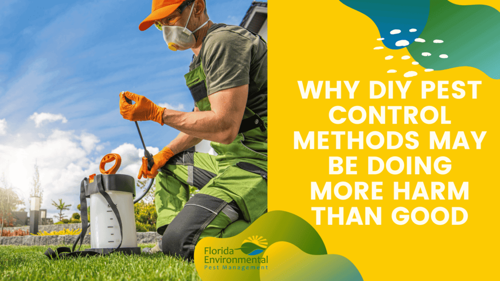 Why DIY Pest Control Methods May Be Doing More Harm Than Good