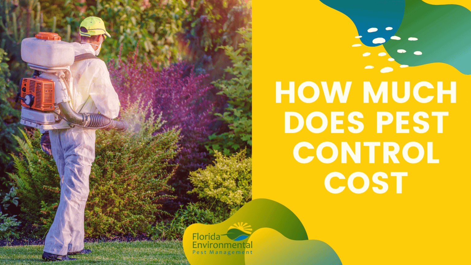 How Much Does Pest Control Cost? Best Price Guide