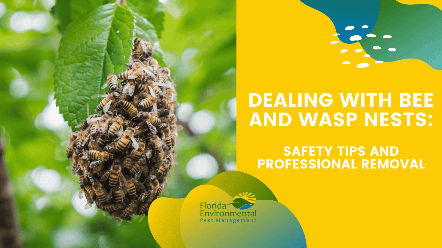 Dealing with Bee and Wasp Nests: Safety Tips and Professional Removal