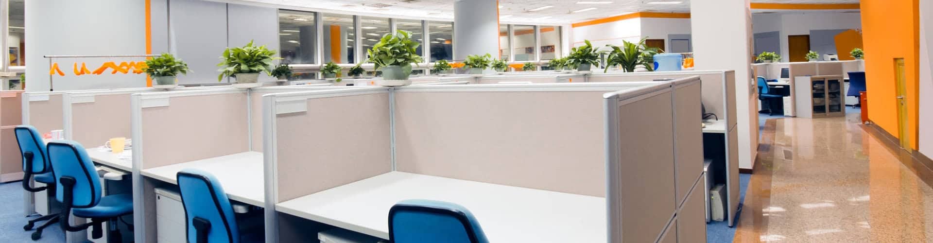 Commercial Pest Control | Florida Environmental Pest Management