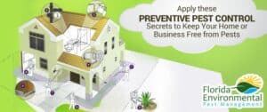 Apply these Preventive pest control Secrets to Keep Your Home or ...