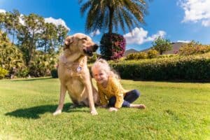 Environmentally Friendly Pest Control | Florida Environmental Pest Mgmt.